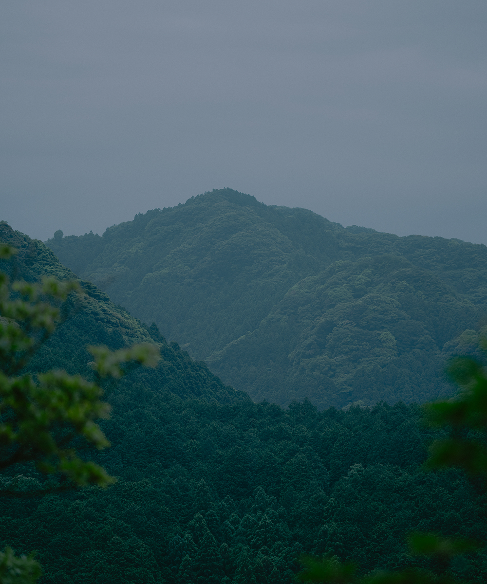 特徴と性能 | SOWOOD（ソーウッド）深呼吸したくなる木の家